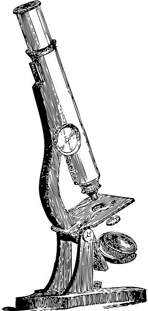 Science, Cartoon, Lab, Microscope, Laboratory, Biology - Elementary ...